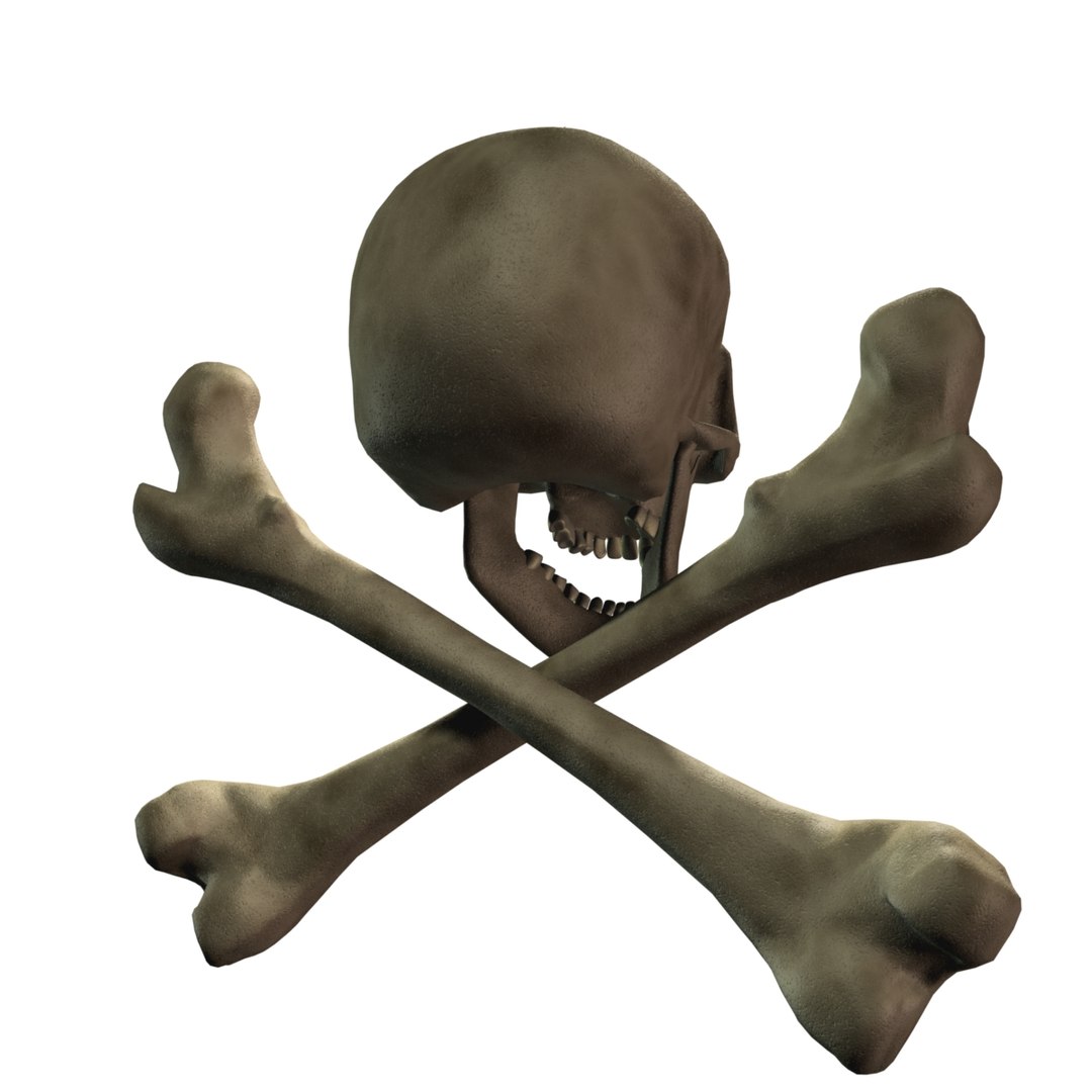 3d Pirate Skull Crossbones Model