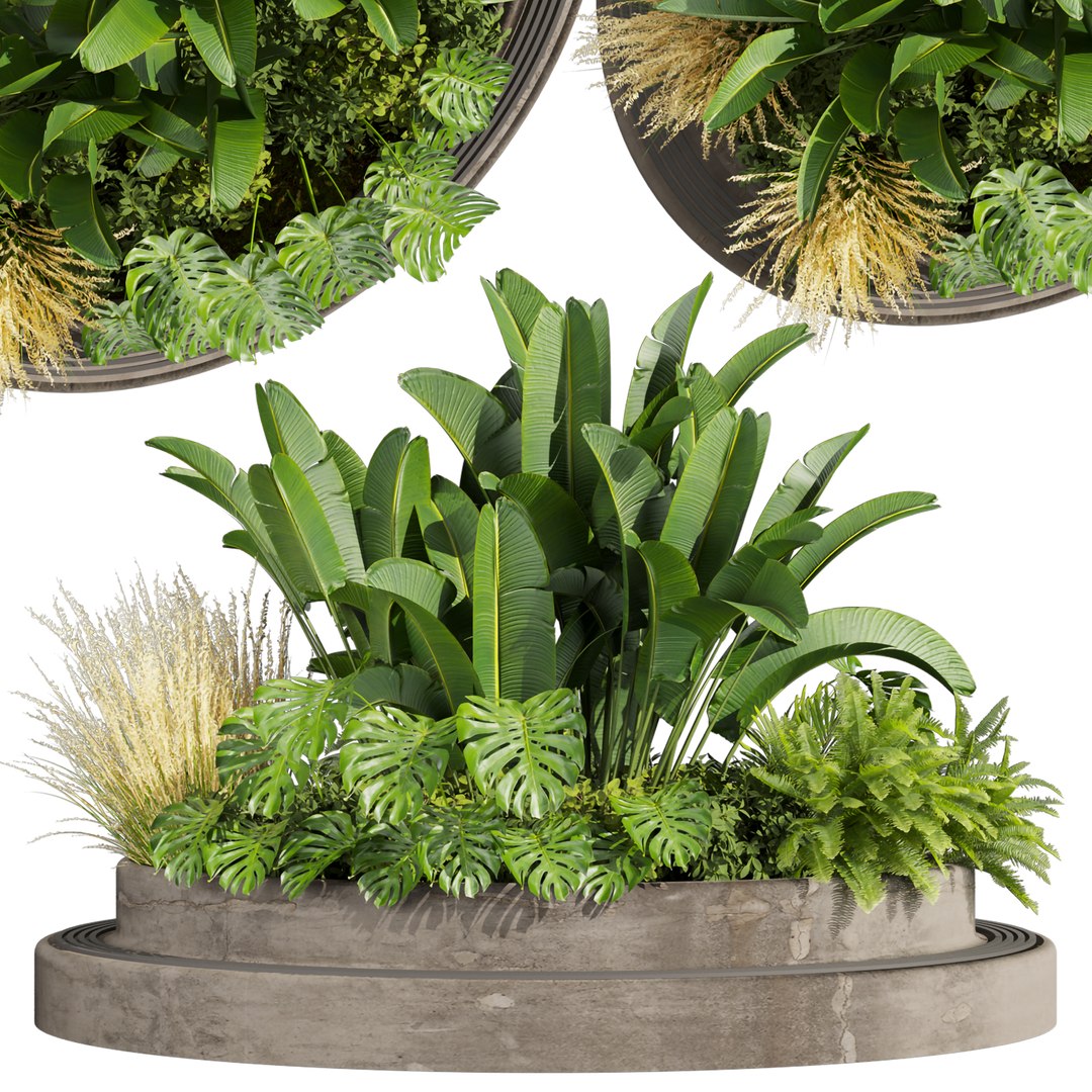 3D Collection Plant Vol 544 - Garden - Landscape Design - Backyard ...