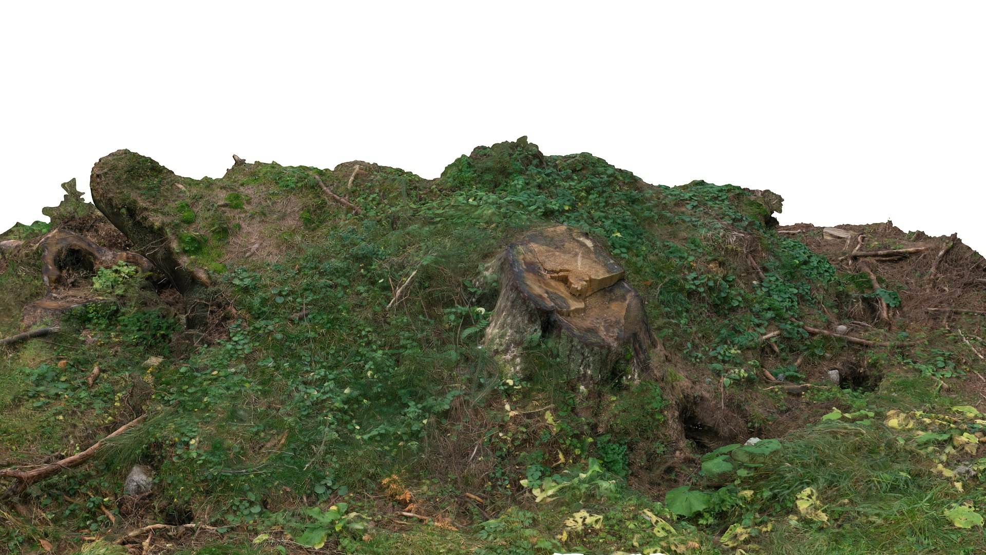 Forest Clump Roots 3d Max