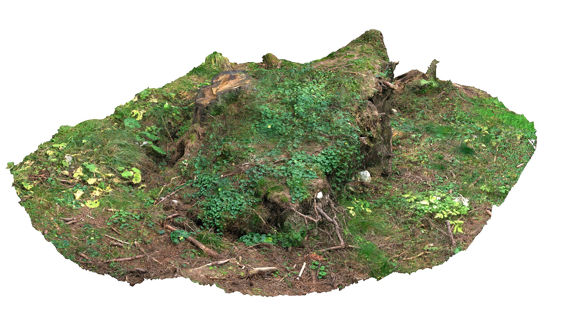 Forest Clump Roots 3d Max