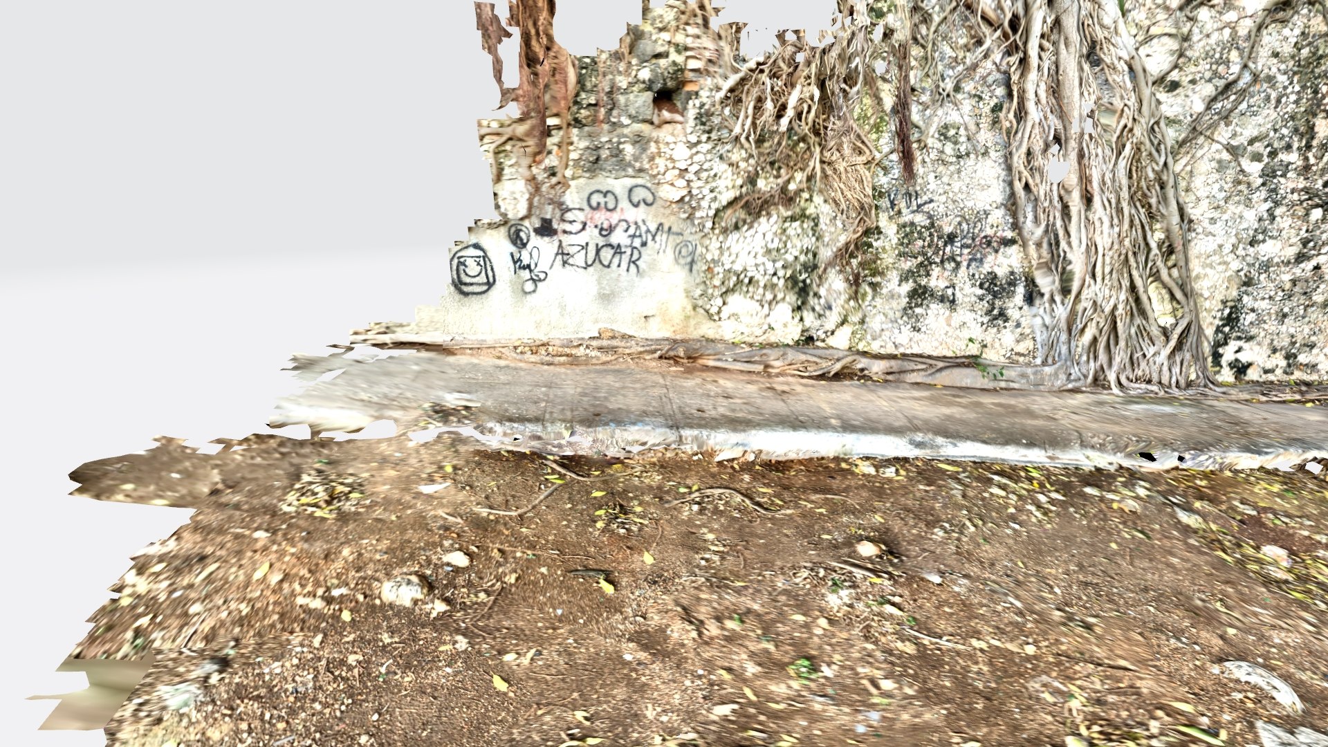 3D Model Root Wall - TurboSquid 1968070