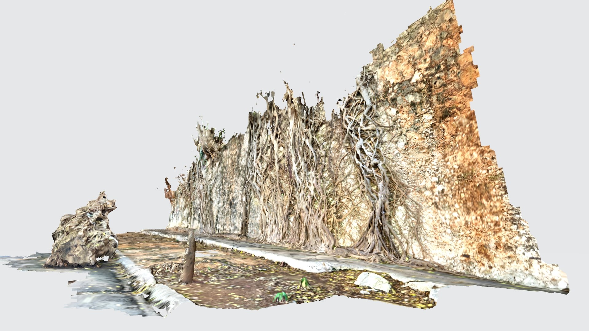 3D Model Root Wall - TurboSquid 1968070