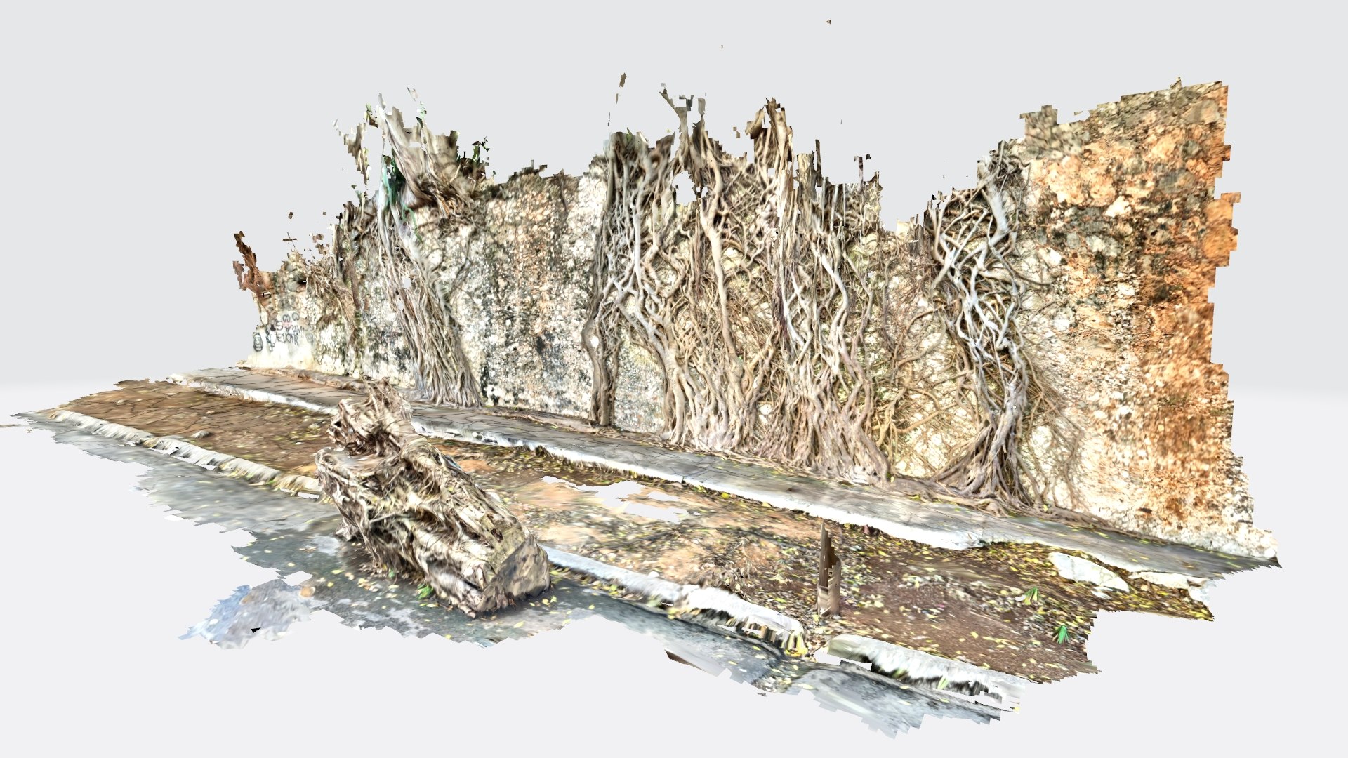 3D Model Root Wall - TurboSquid 1968070