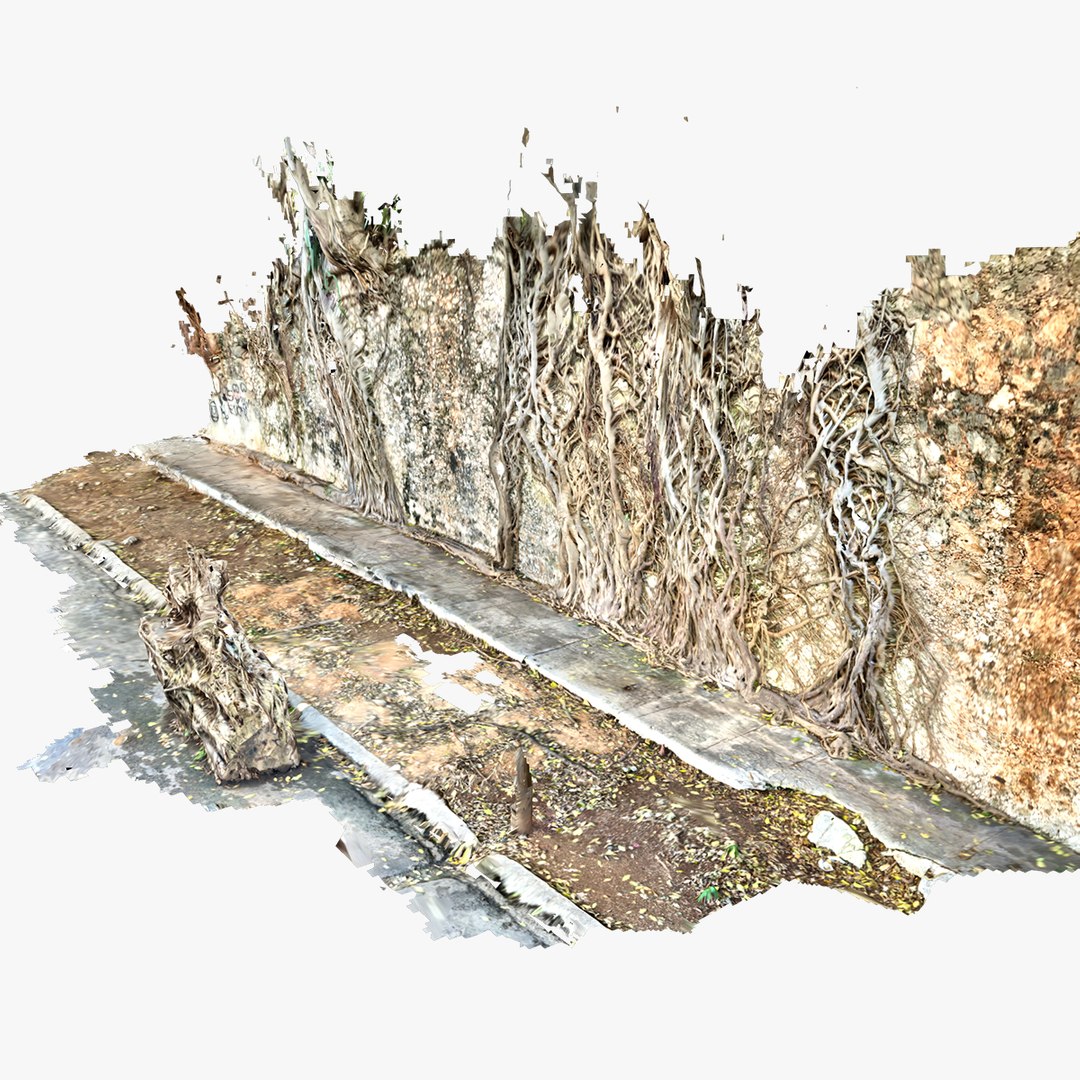 3D model Root Wall - TurboSquid 1968070