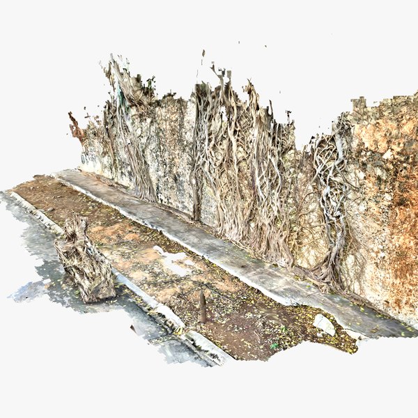 Root Wall 3D 모델 - TurboSquid 1968070