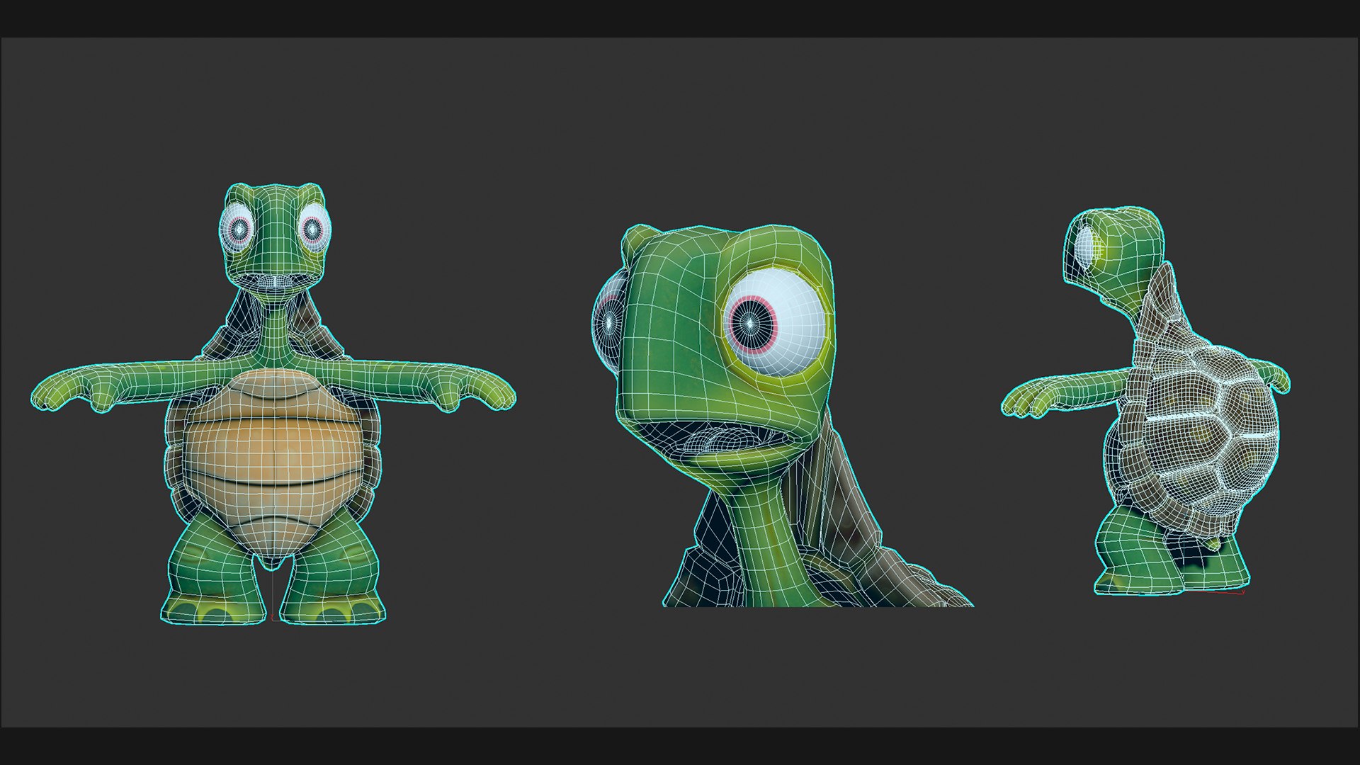 Turtle Stylized 3D model - TurboSquid 1788631
