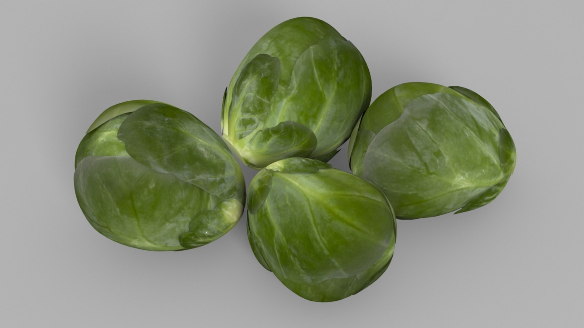 Brussels Sprouts 3d Model