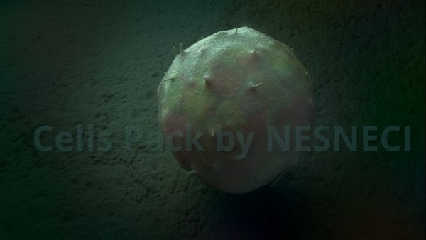 Human Cell 3D Models for Download | TurboSquid