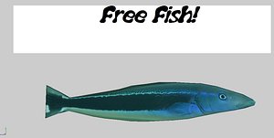Free 3D Fish Models - Available For Download On TurboSquid