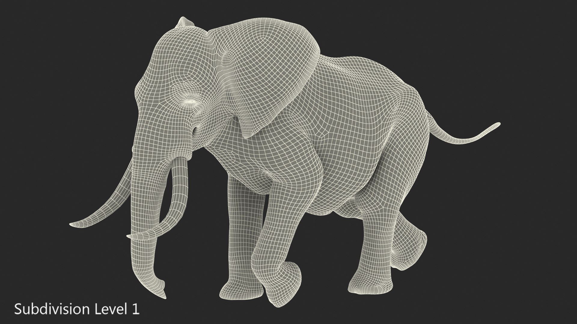 Elephant Running Animal Rigged 3D Model - TurboSquid 1565204
