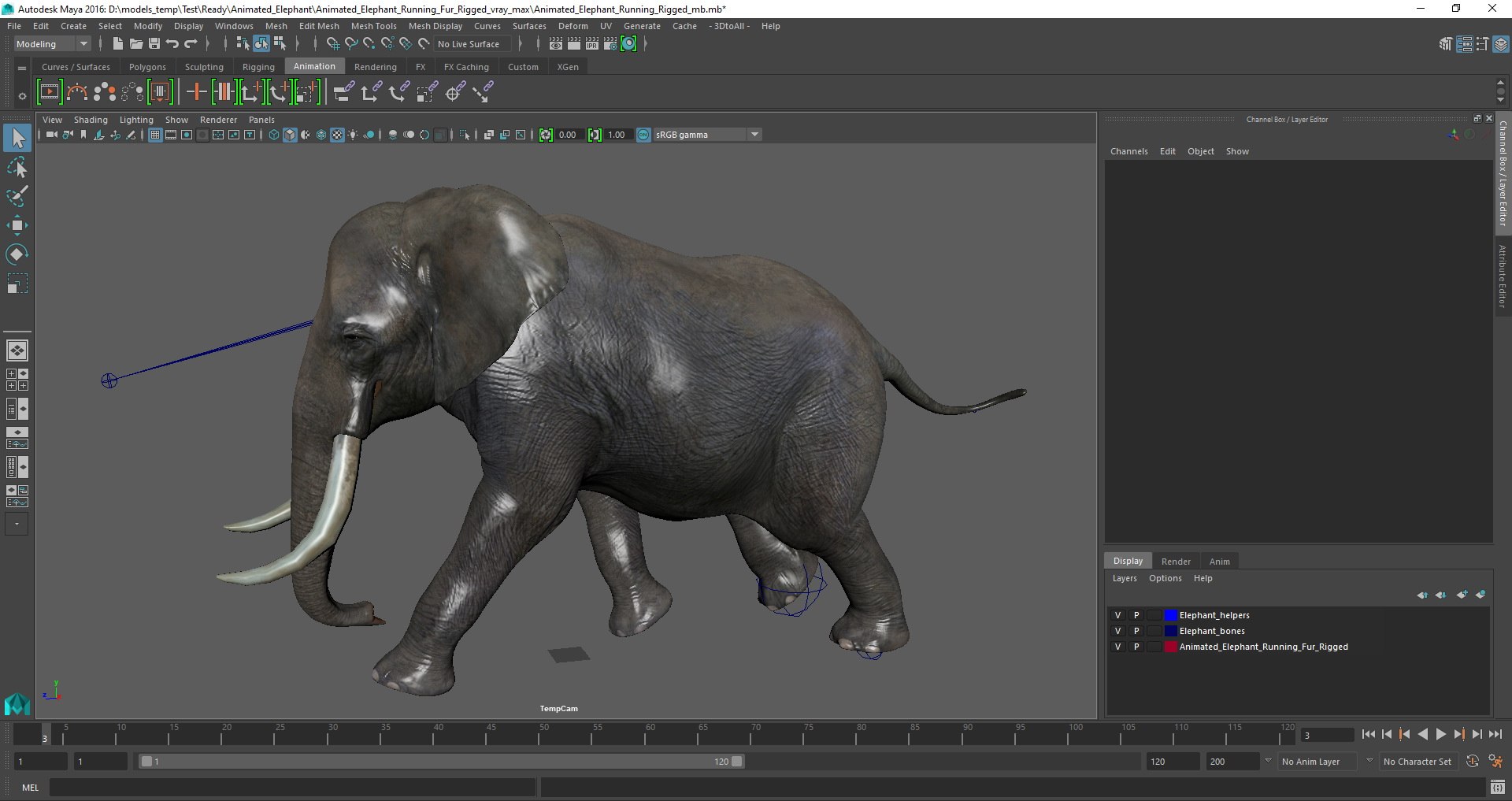 Elephant Running Animal Rigged 3D Model - TurboSquid 1565204