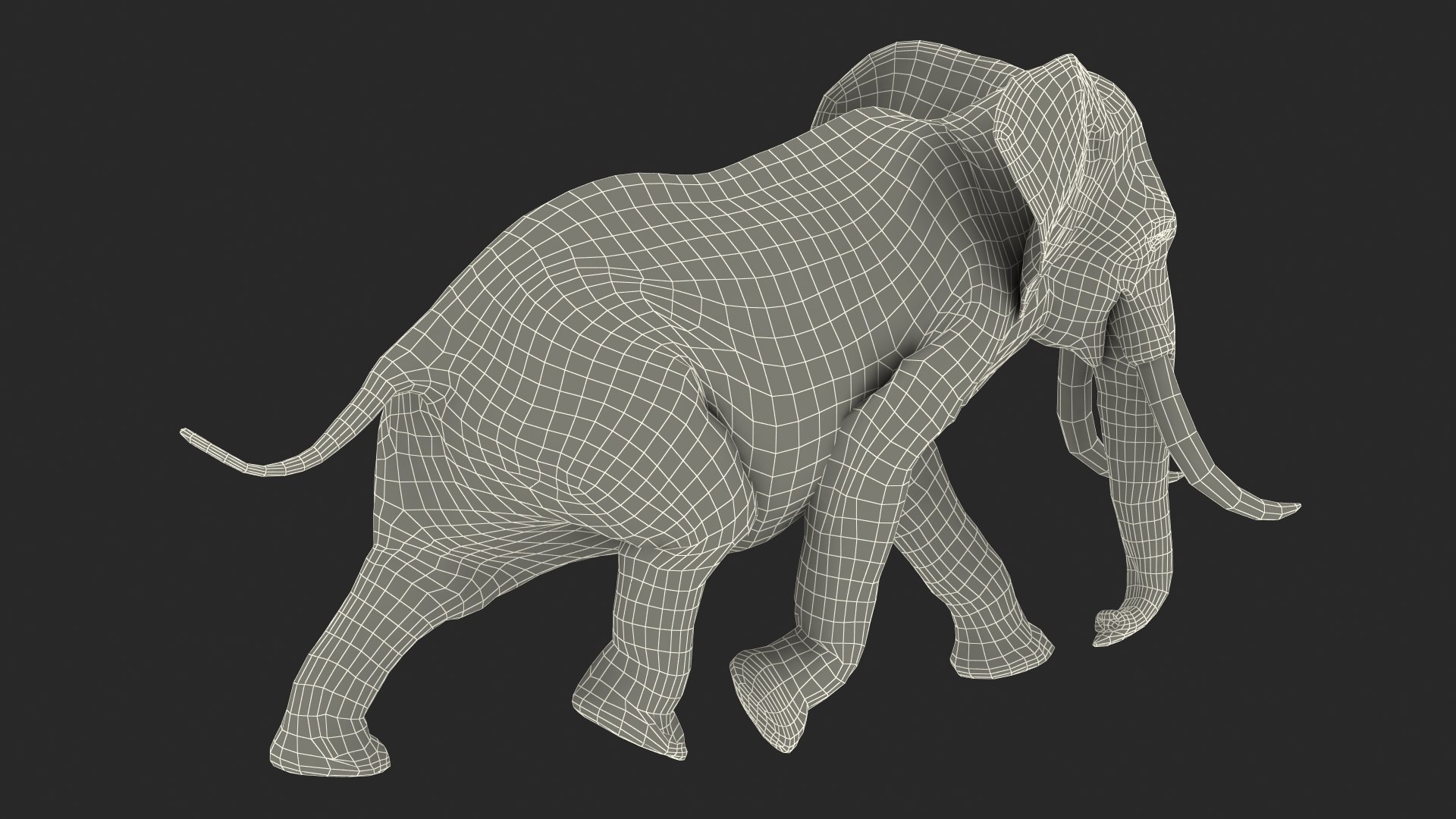 Elephant Running Animal Rigged 3D Model - TurboSquid 1565204