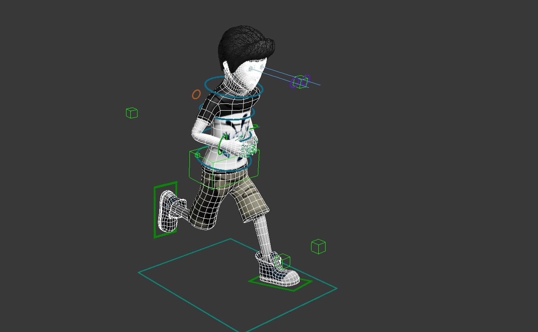 Free Rigged Animators 3d Model