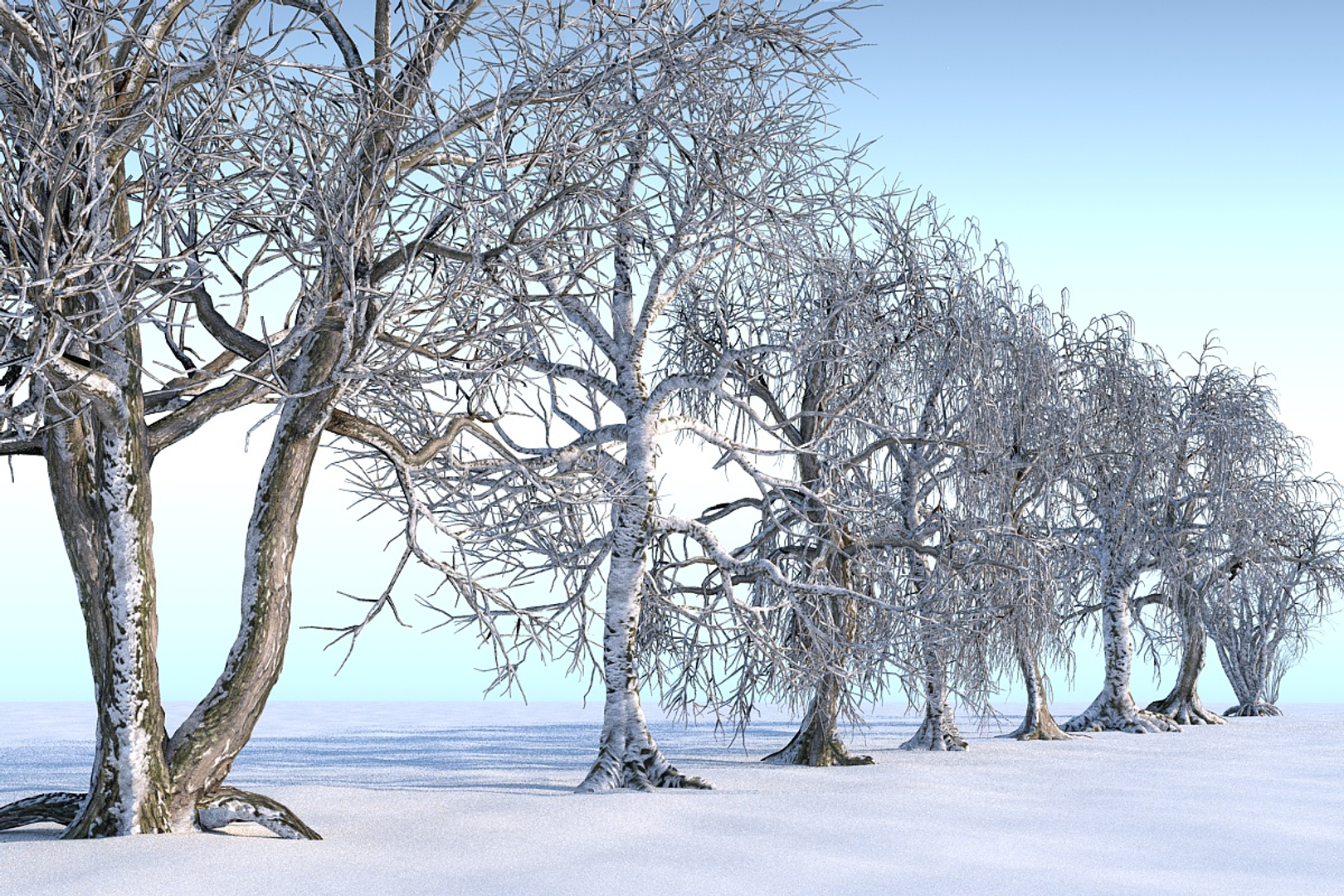 3D Winter Trees Pack 14 Model - TurboSquid 1351151