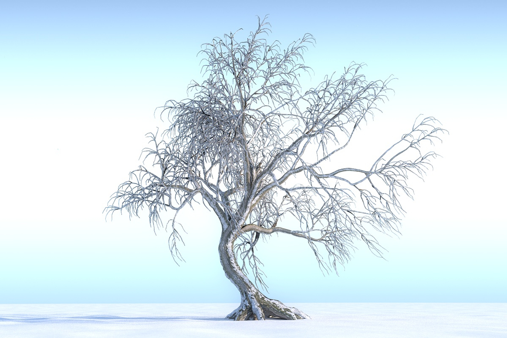 3D Winter Trees Pack 14 Model - TurboSquid 1351151