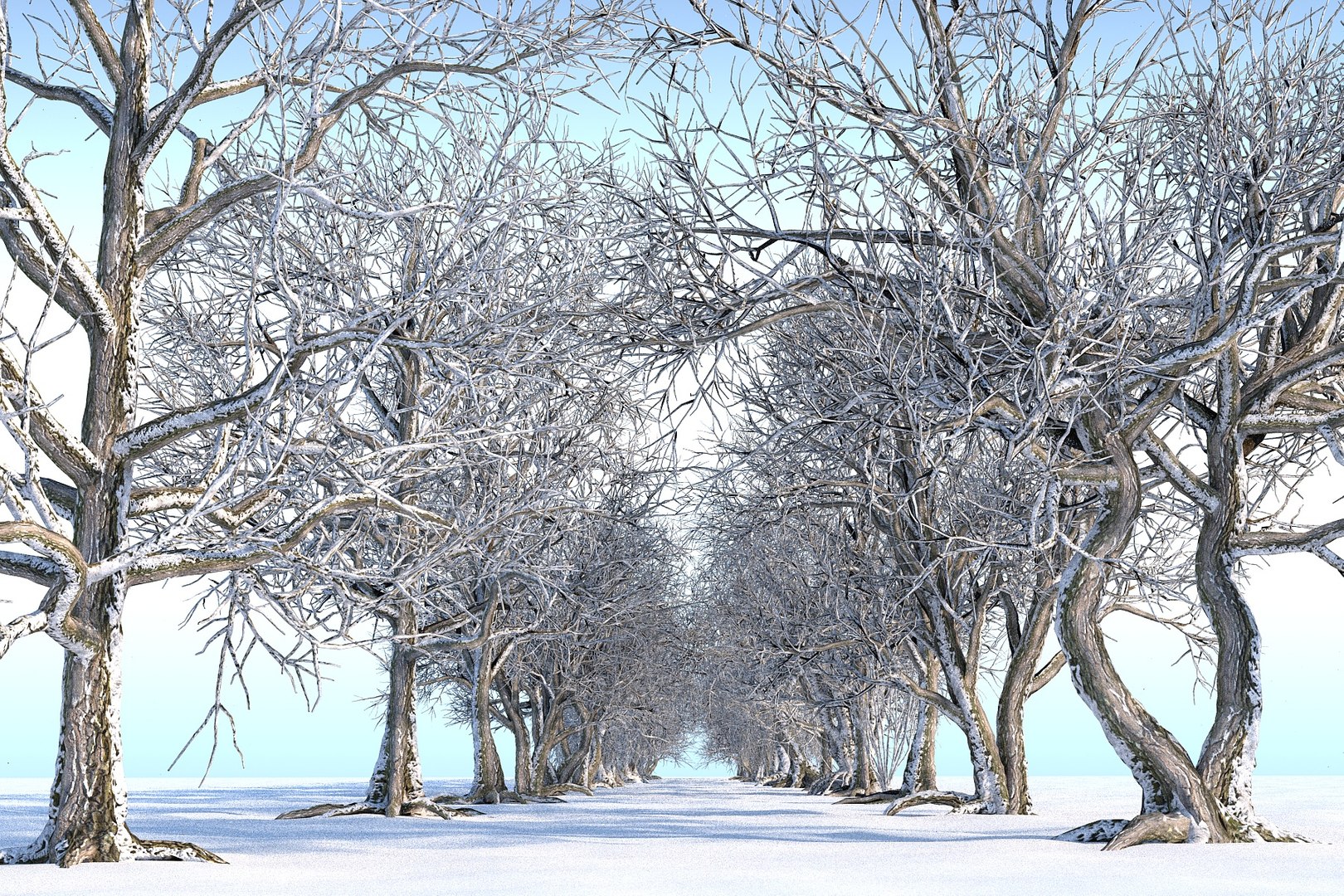 3D Winter Trees Pack 14 Model - TurboSquid 1351151