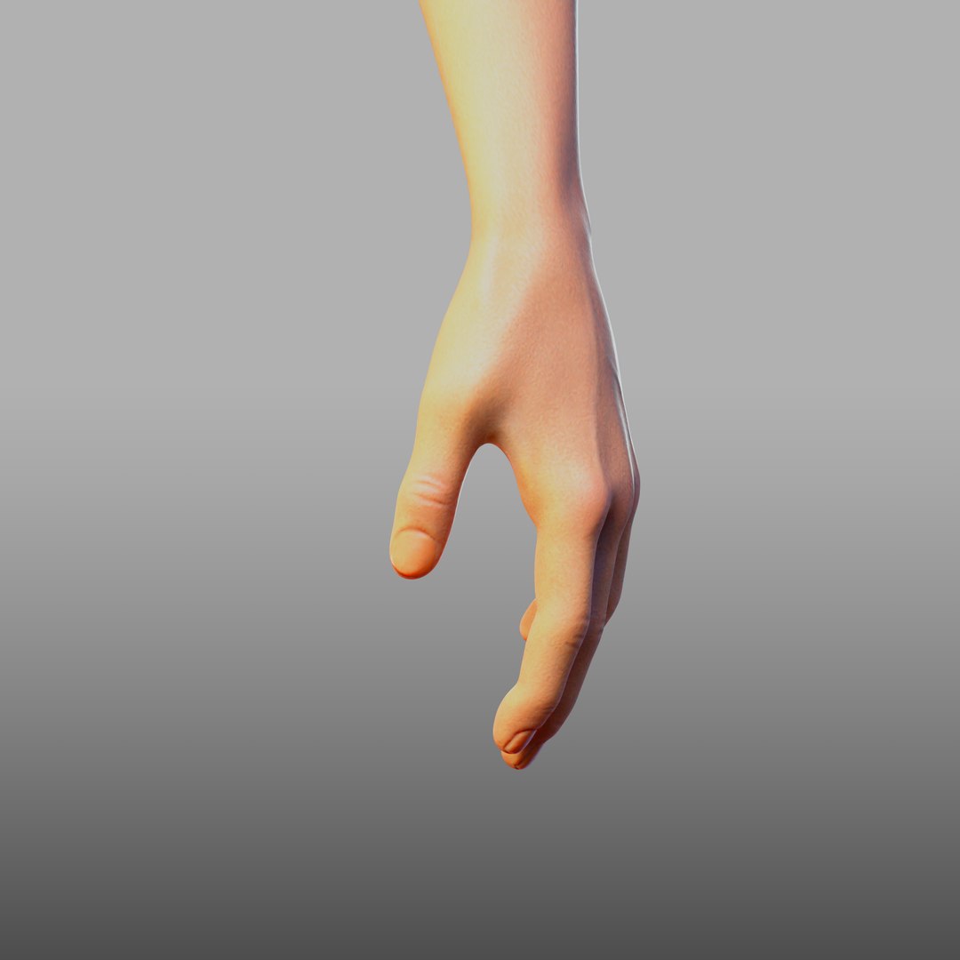 3D hand anatomy model - TurboSquid 1585782