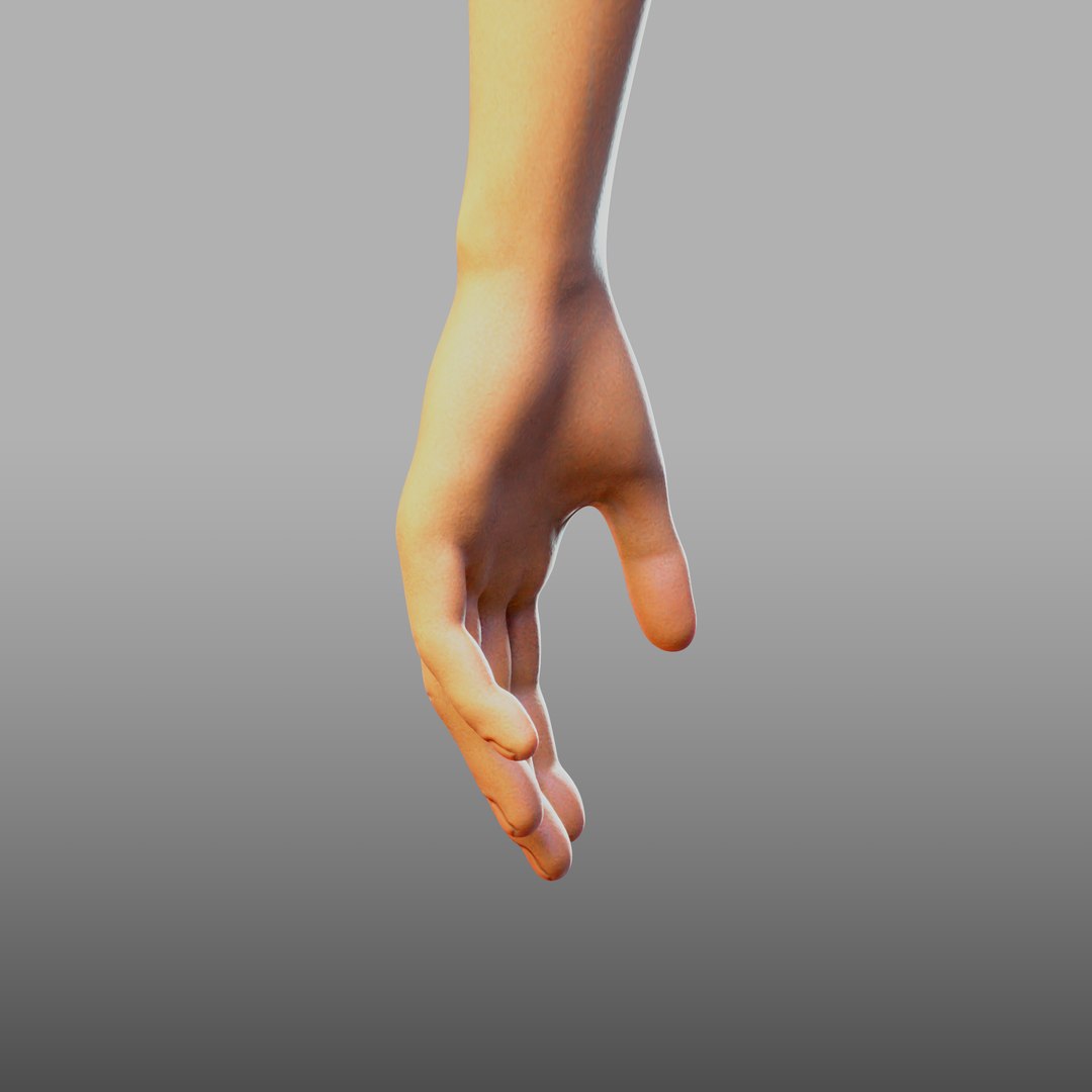 3D hand anatomy model - TurboSquid 1585782