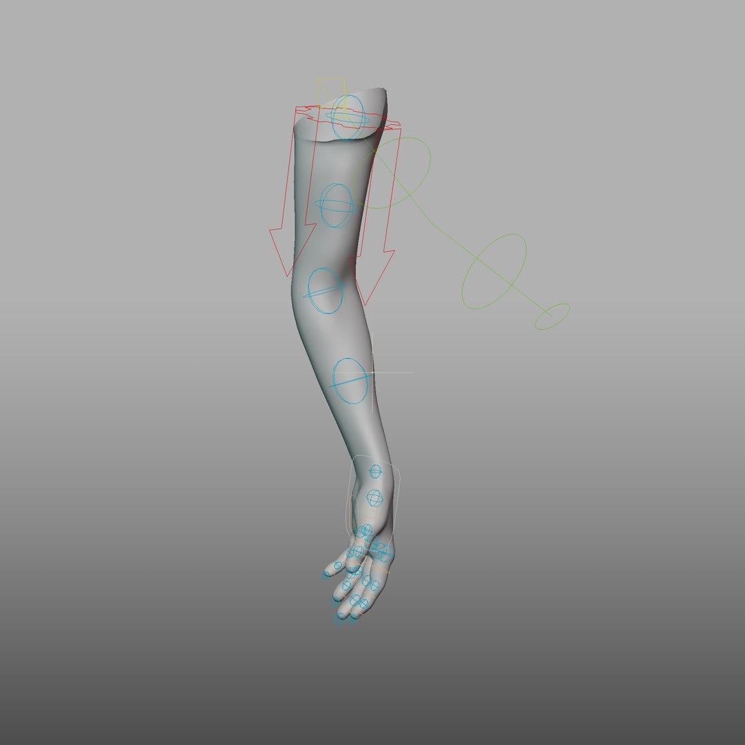 3D hand anatomy model - TurboSquid 1585782