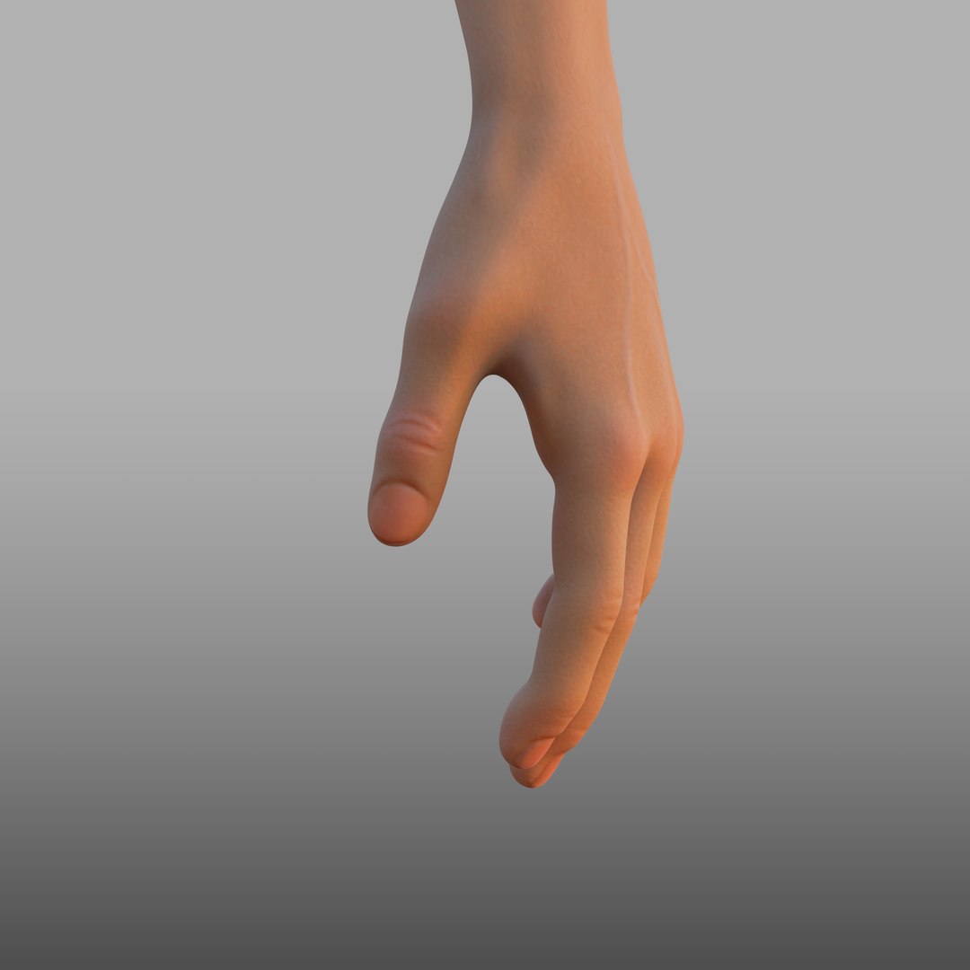 3D Hand Anatomy Model - TurboSquid 1585782