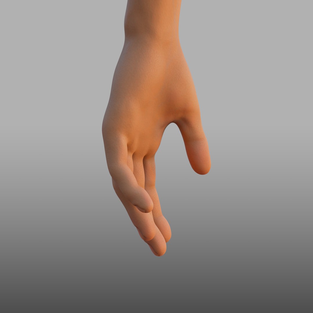 3D Hand Anatomy Model - TurboSquid 1585782