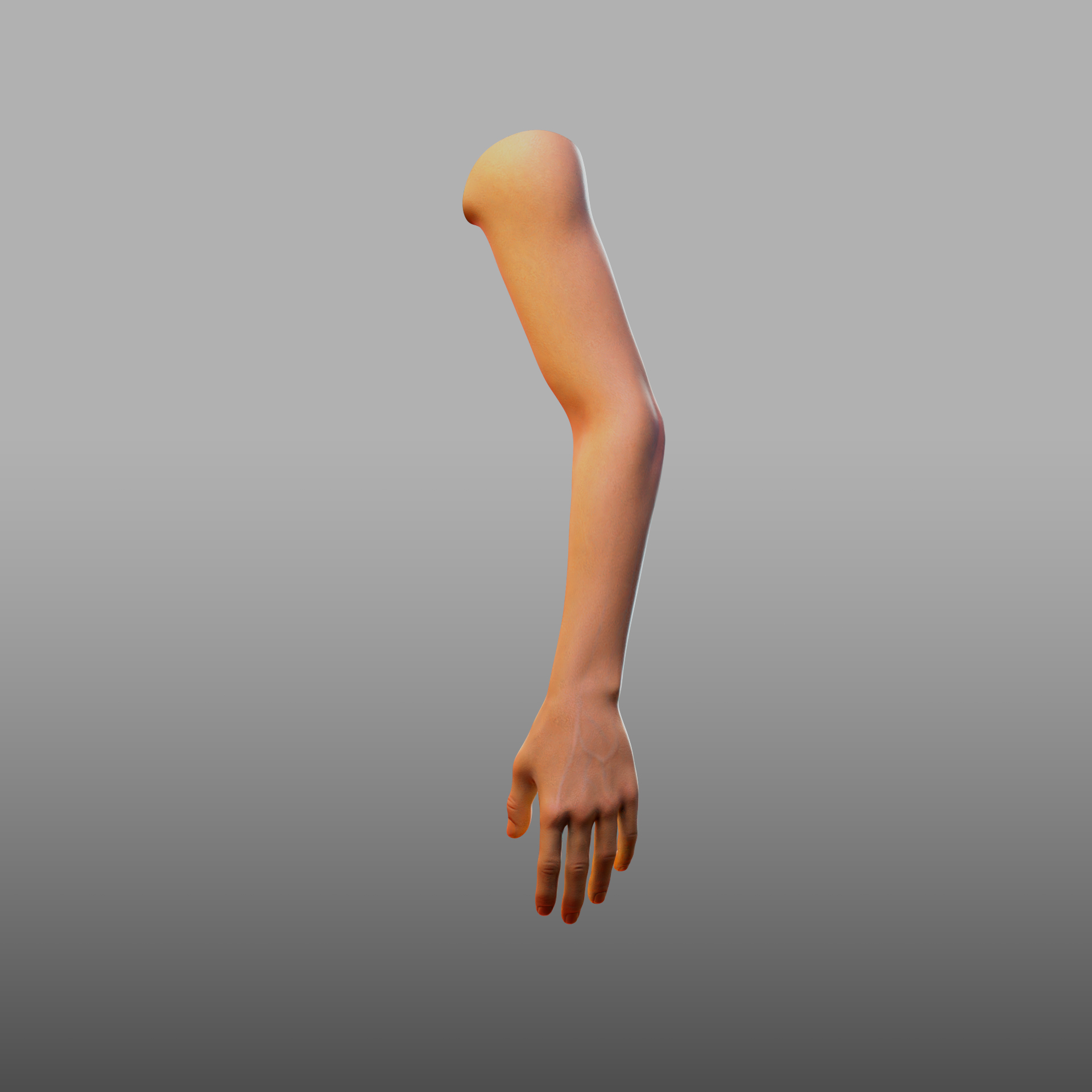 3D hand anatomy model - TurboSquid 1585782