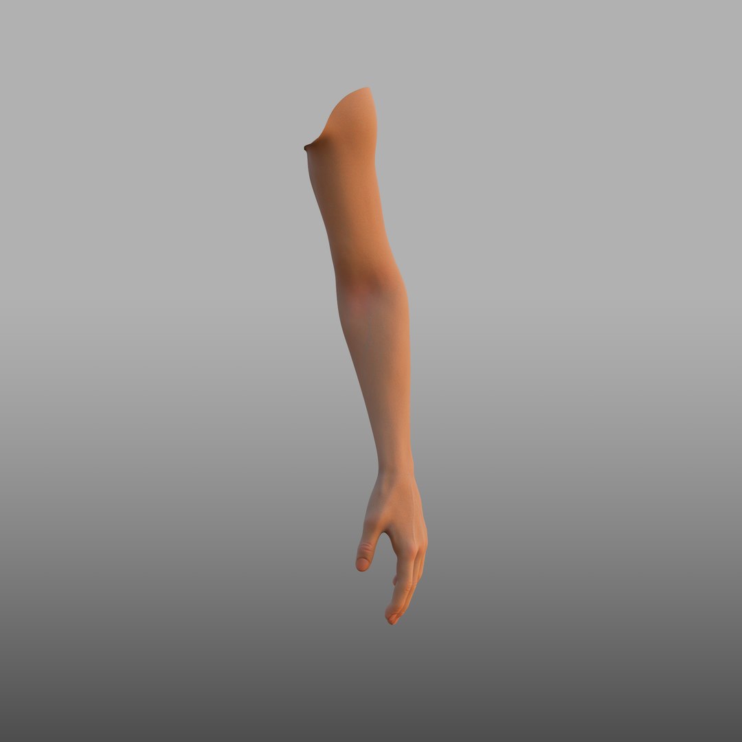 3D Hand Anatomy Model - TurboSquid 1585782