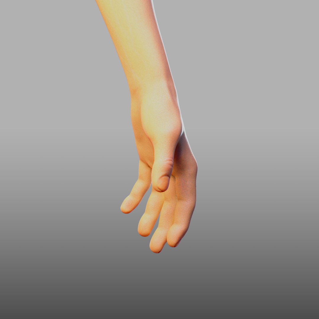 3D hand anatomy model - TurboSquid 1585782