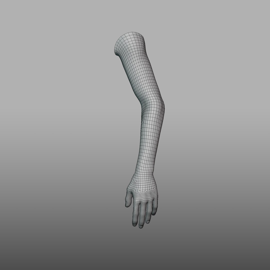 3D hand anatomy model - TurboSquid 1585782