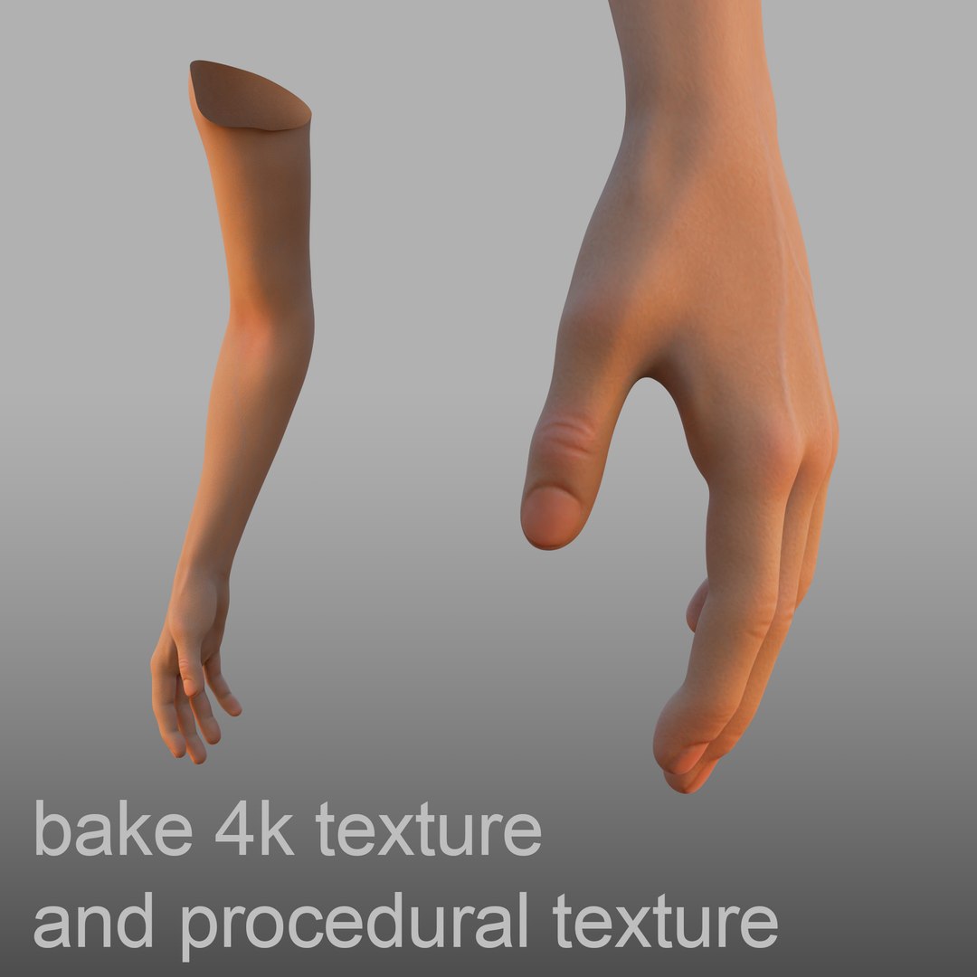 3D Hand Anatomy Model - TurboSquid 1585782