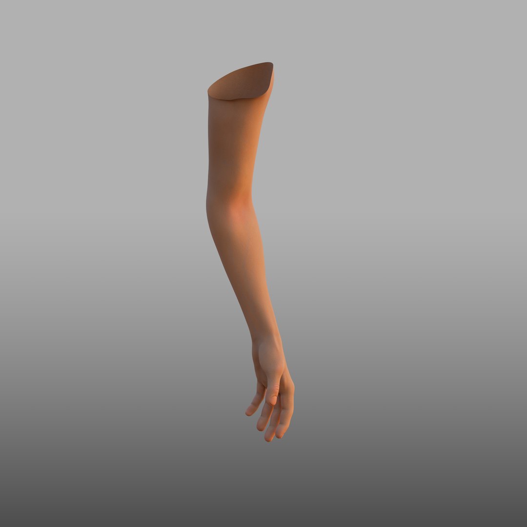 3D Hand Anatomy Model - TurboSquid 1585782