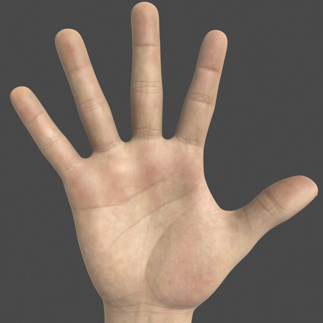 3d Male Hand Model