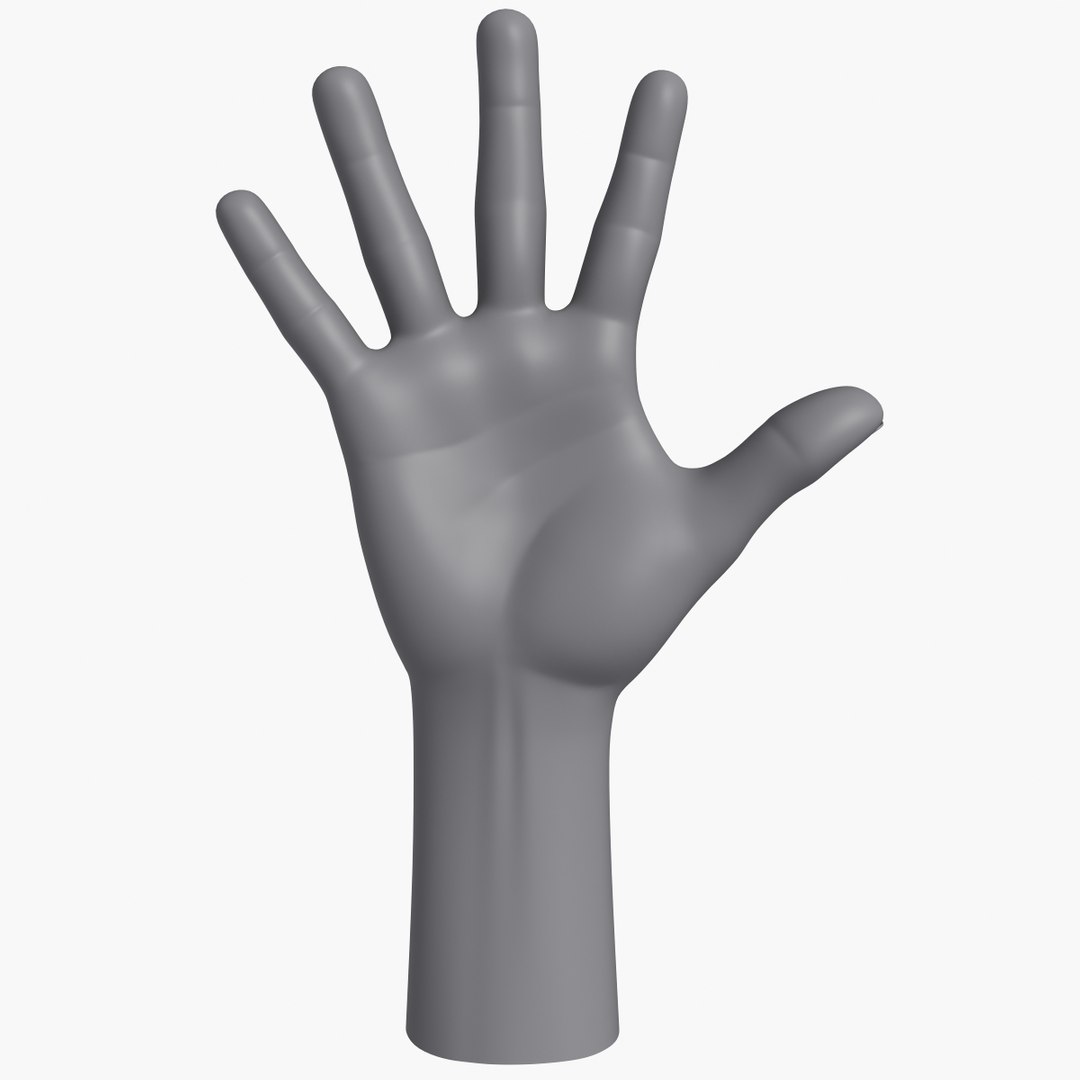 3d Male Hand Model