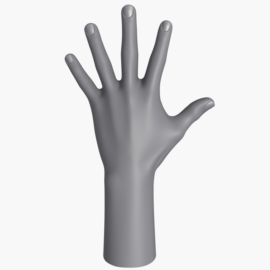 3d Male Hand Model
