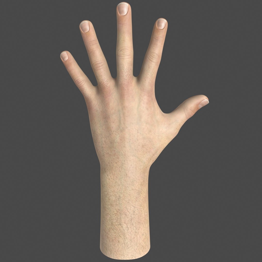 3d Male Hand Model