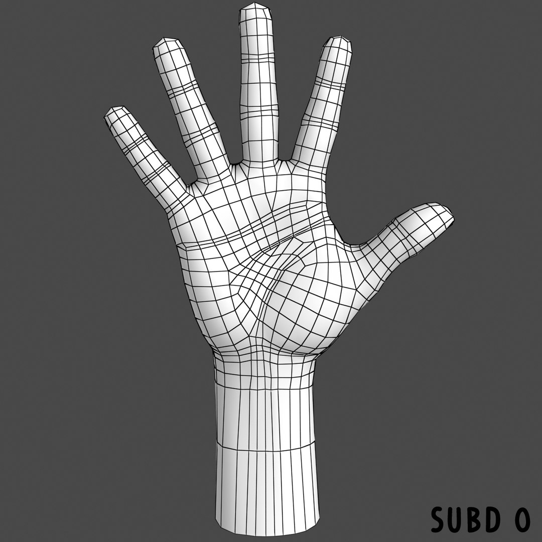 3d Male Hand Model