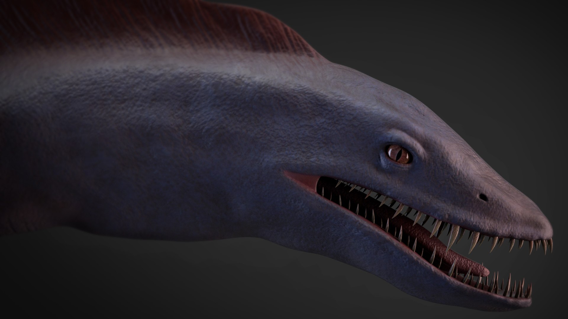 3D Sea Monsters Collection 1 Model - TurboSquid 1878080