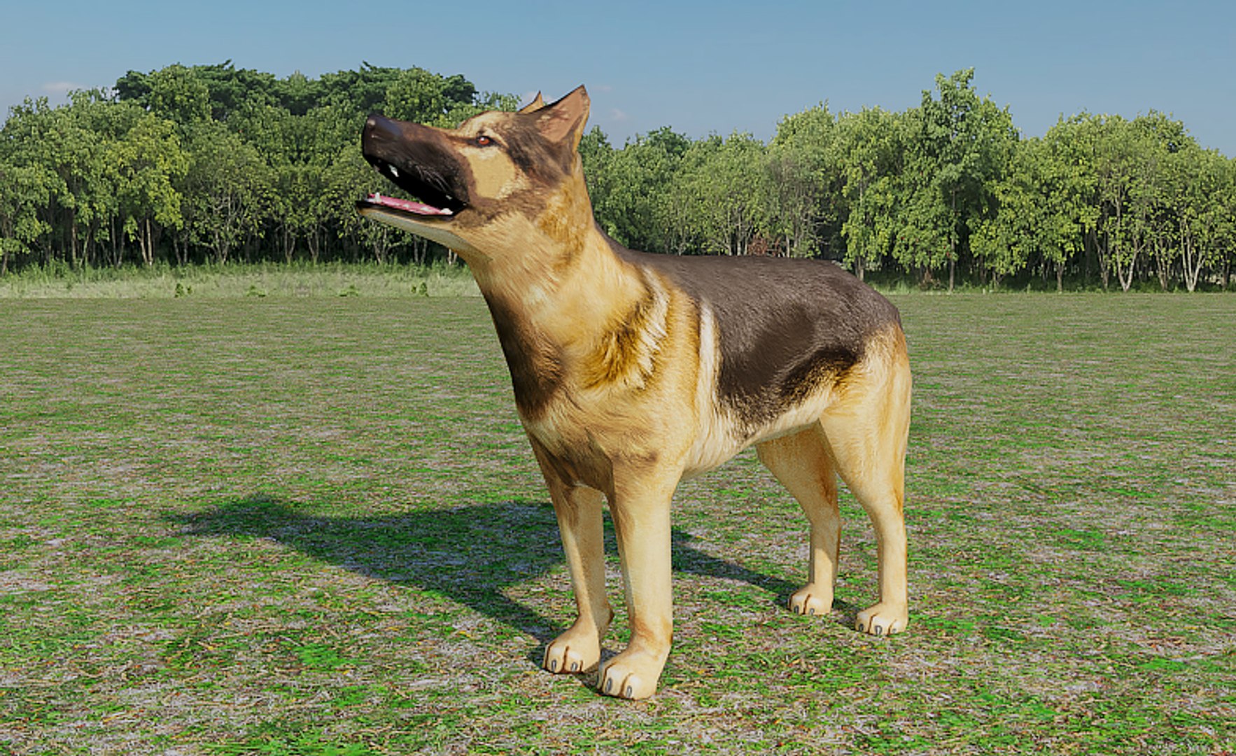 German Shepherd 3D Model - TurboSquid 1169844