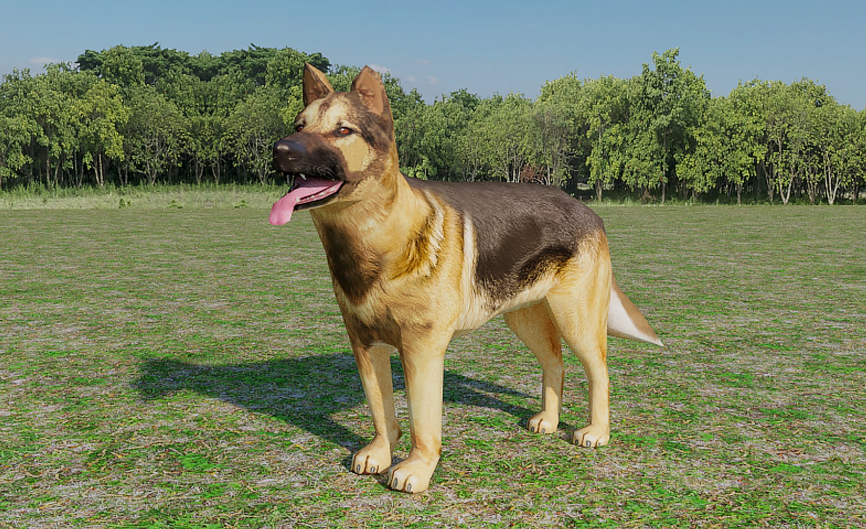German Shepherd 3D Model - TurboSquid 1169844