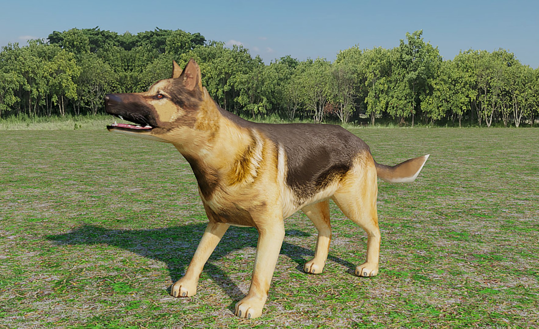 German Shepherd 3D Model - TurboSquid 1169844