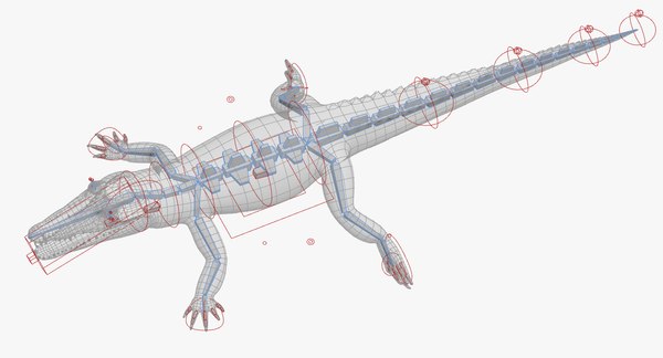 Realistic crocodile 3D - TurboSquid 1408184