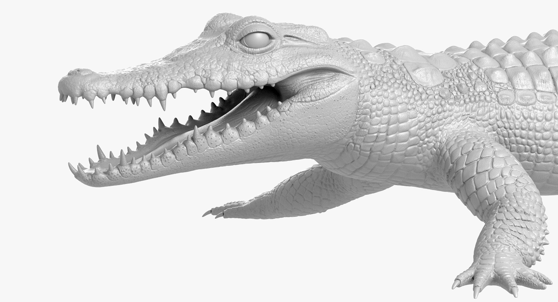 Realistic crocodile 3D - TurboSquid 1408184