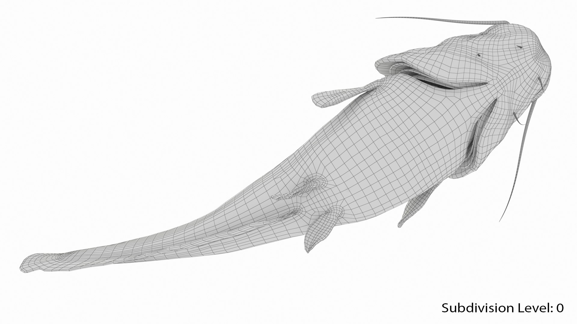 Catfish Animation Model - TurboSquid 1511658