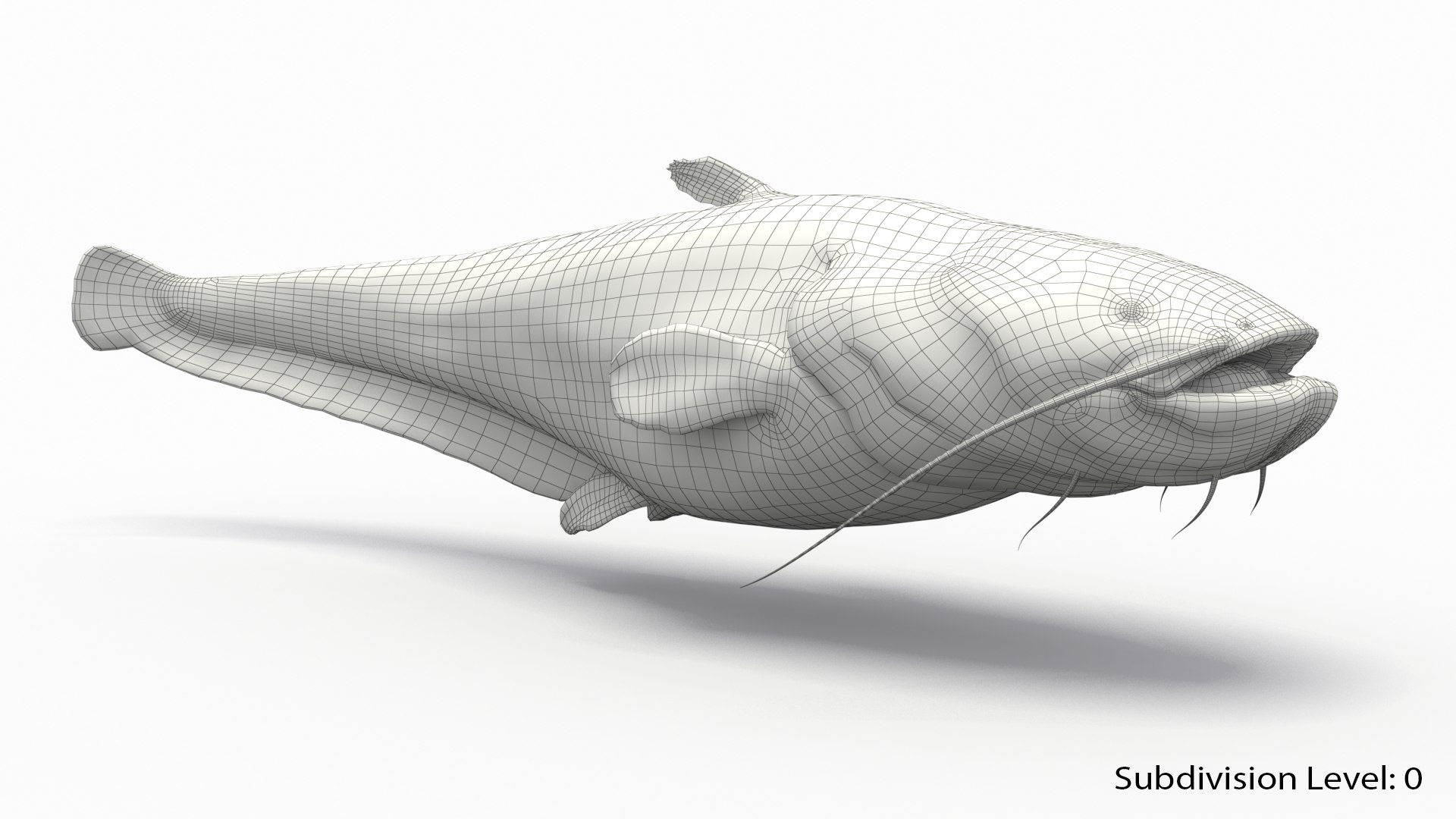 Catfish Animation Model - TurboSquid 1511658
