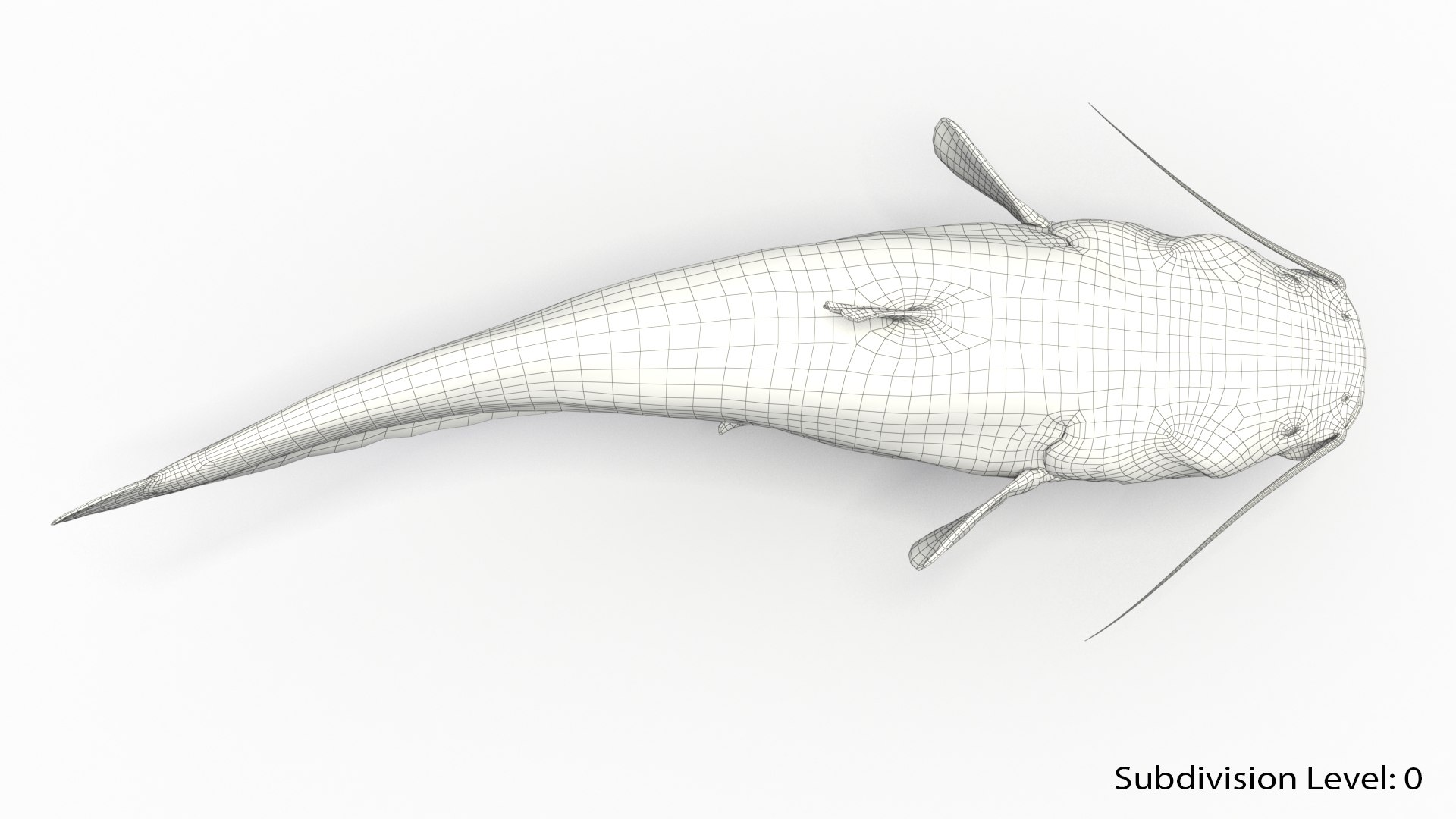 Catfish Animation Model - TurboSquid 1511658