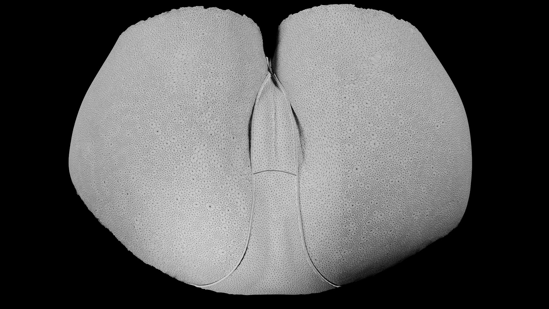 Scan Vagina 002 3D Model - TurboSquid 2047485