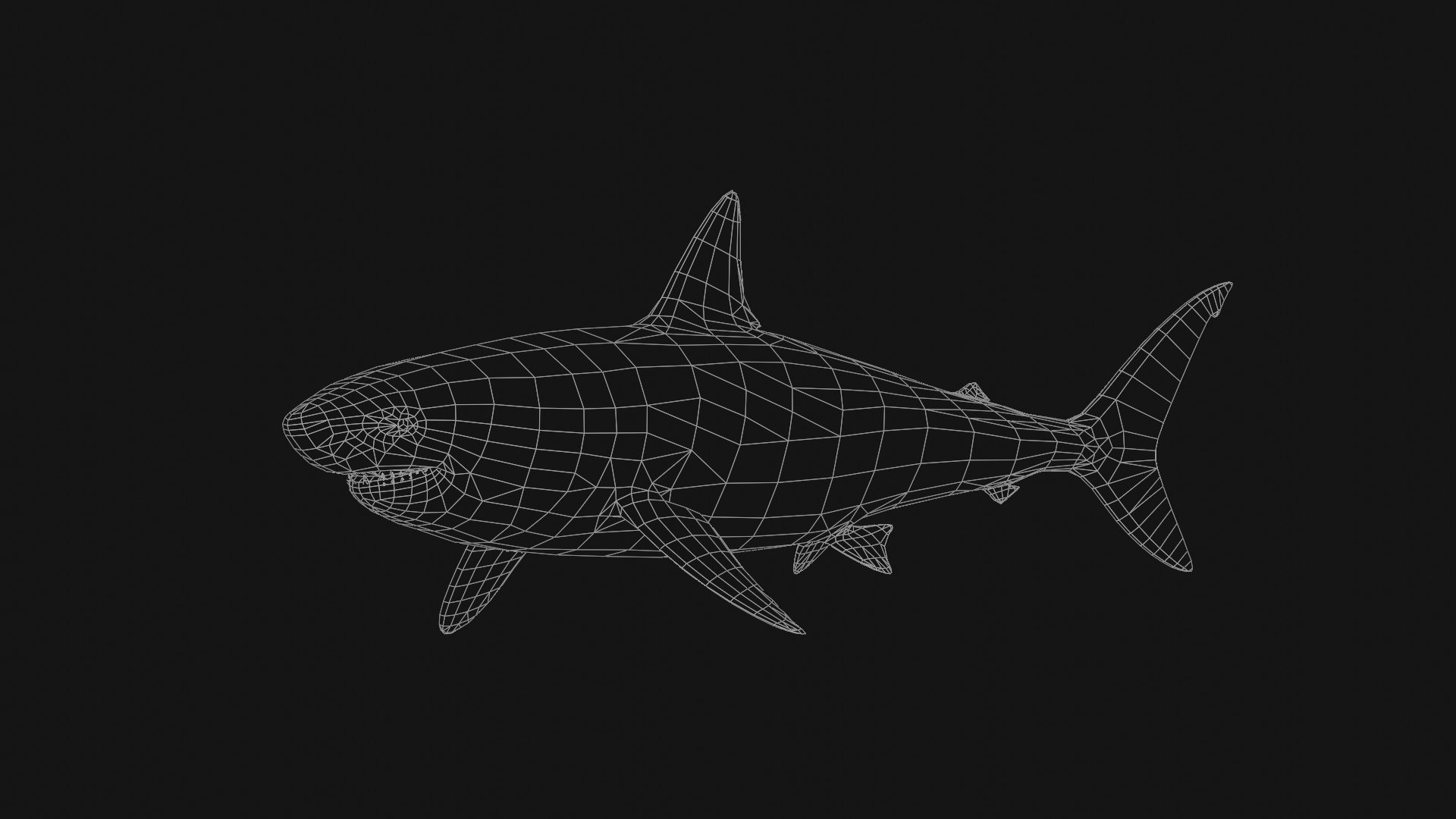 3D Realistic Shark - TurboSquid 2066440
