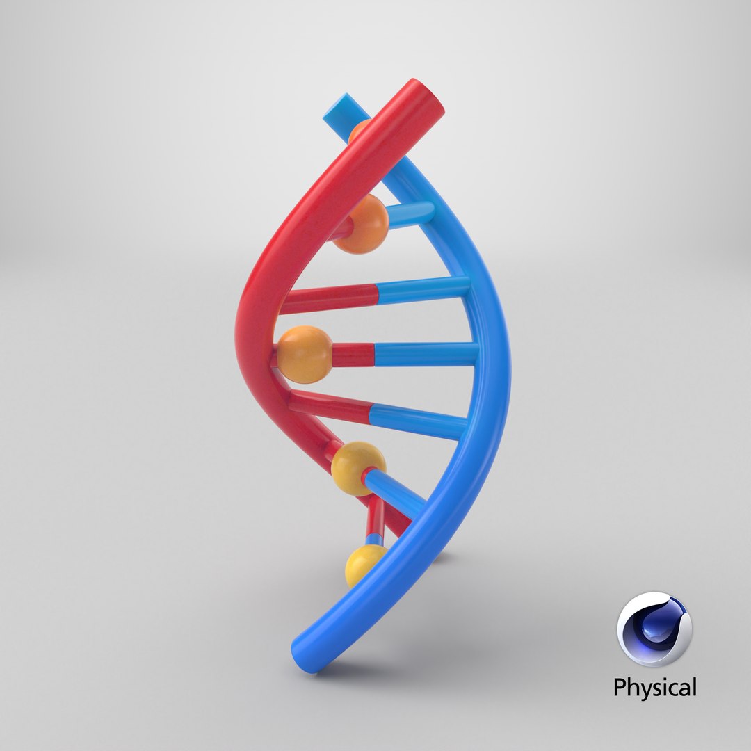 3D Red Blue DNA Helix - TurboSquid 2423412