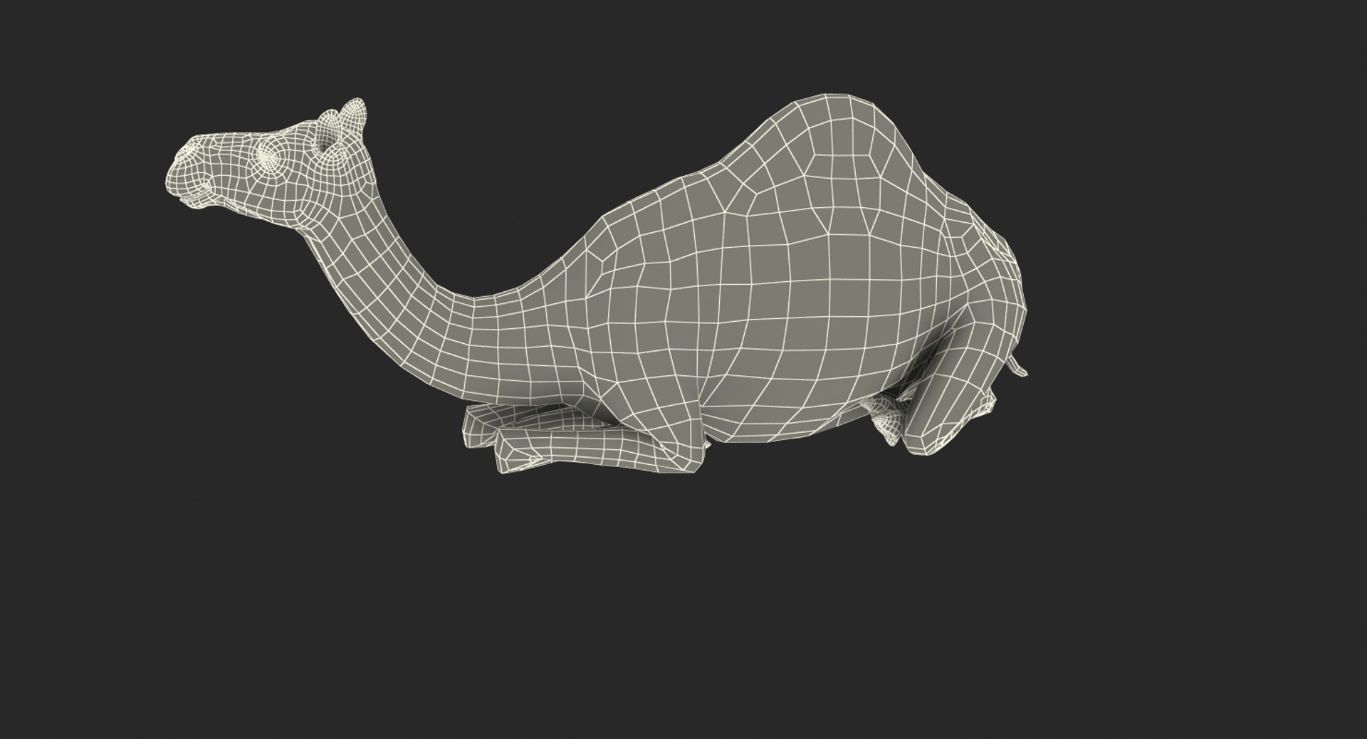 3d Model Camel Sitting Pose