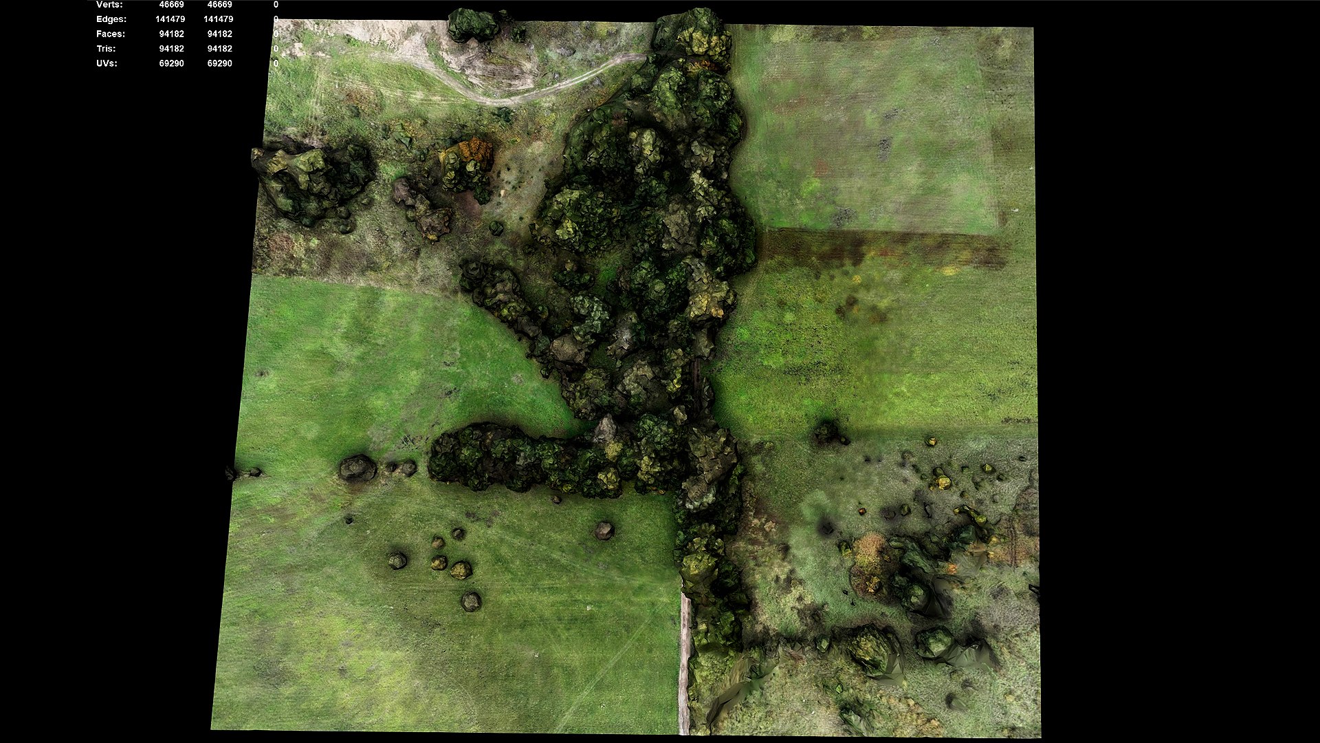 3D Forest Ground Trees Field Grass Terrain Part2 Aerial Dronescan Model - TurboSquid 2339505